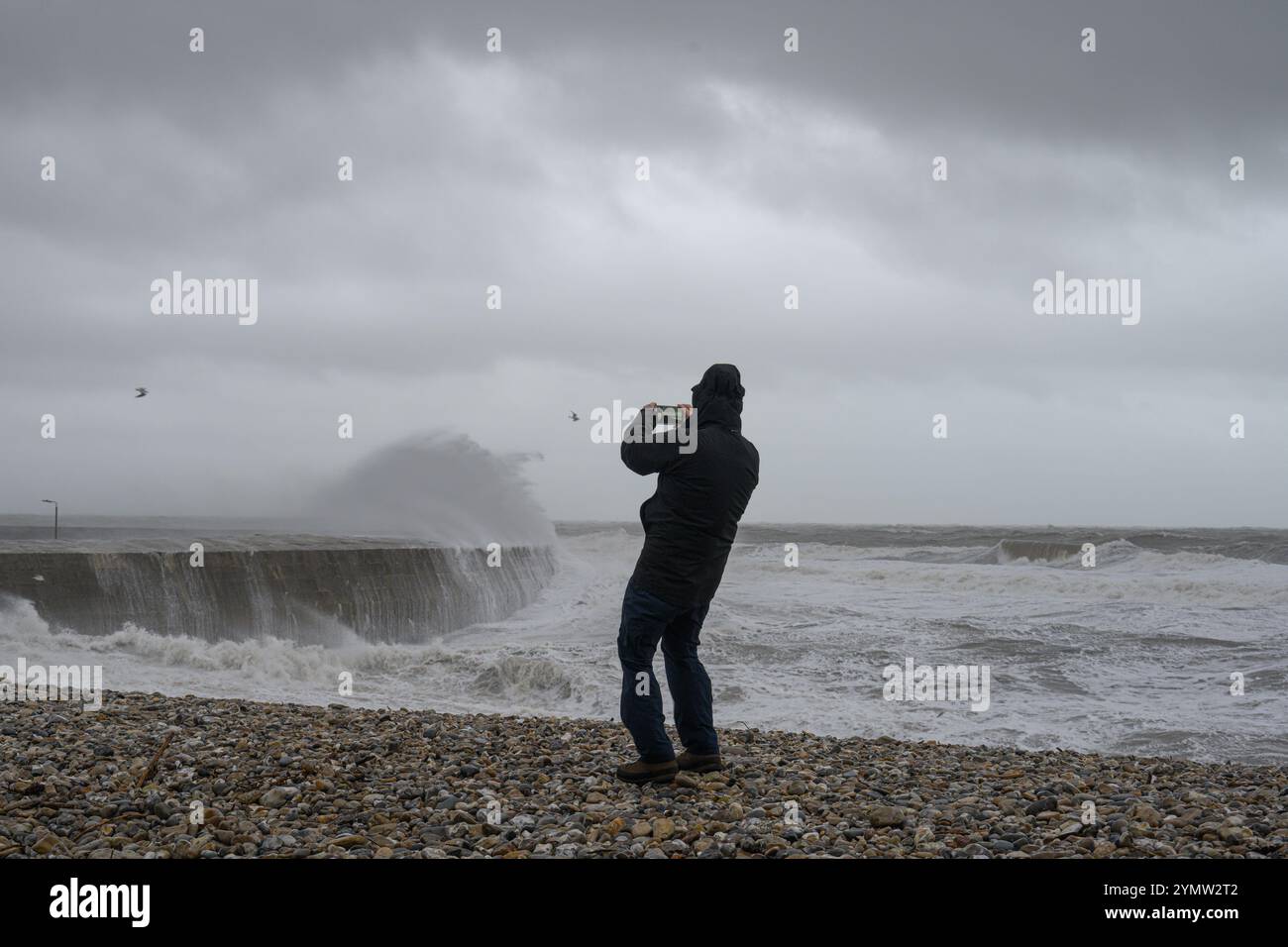 Lyme Regis, Dorset, UK. 23rd November 2024. UK Weather: Giant waves ...