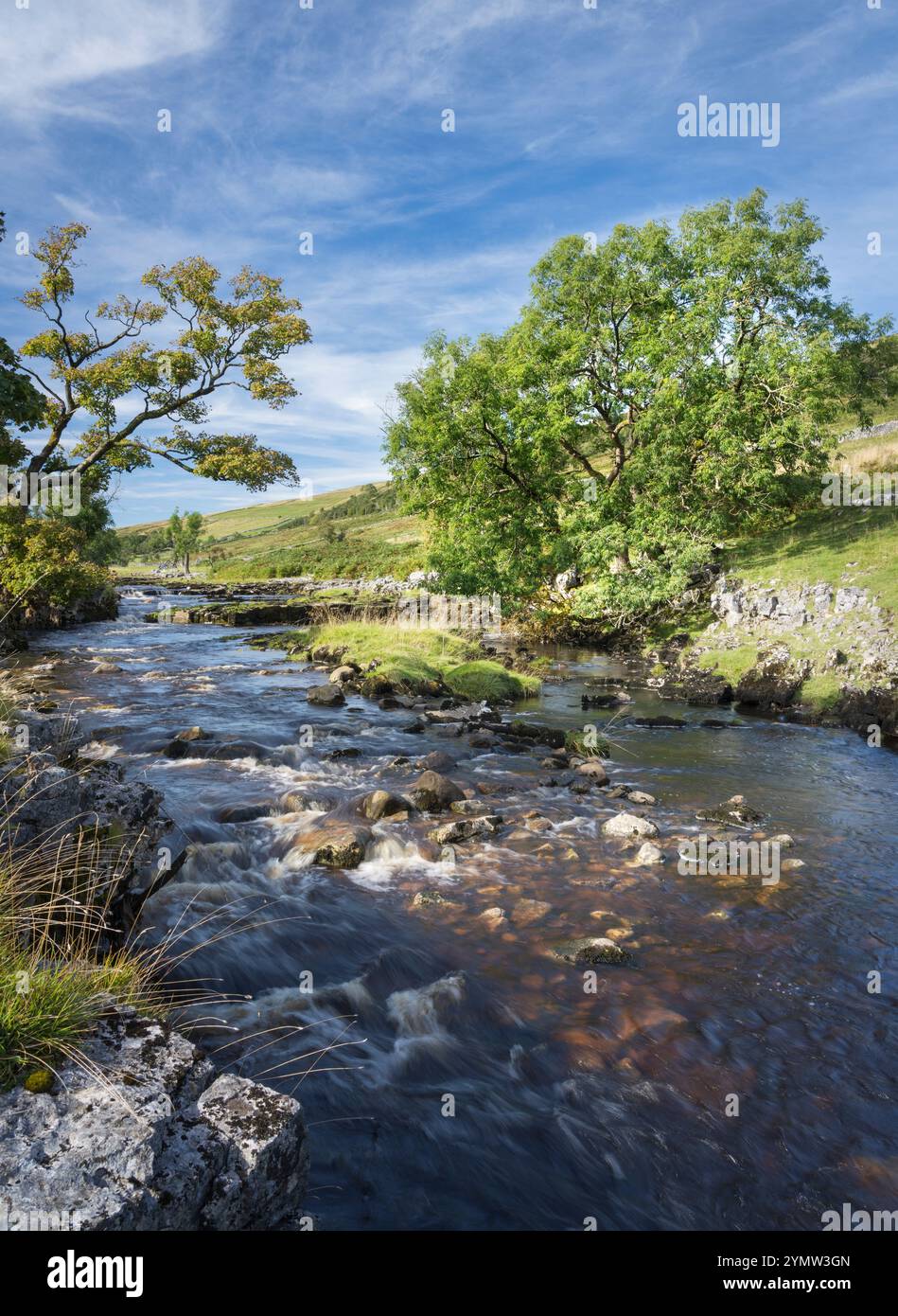 The young river Wharfe running through limestone countryside in ...