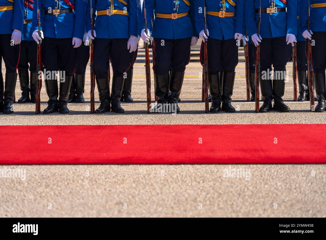 Presentation of Serbian Armed Forces. Welcoming ceremony of honorary ...