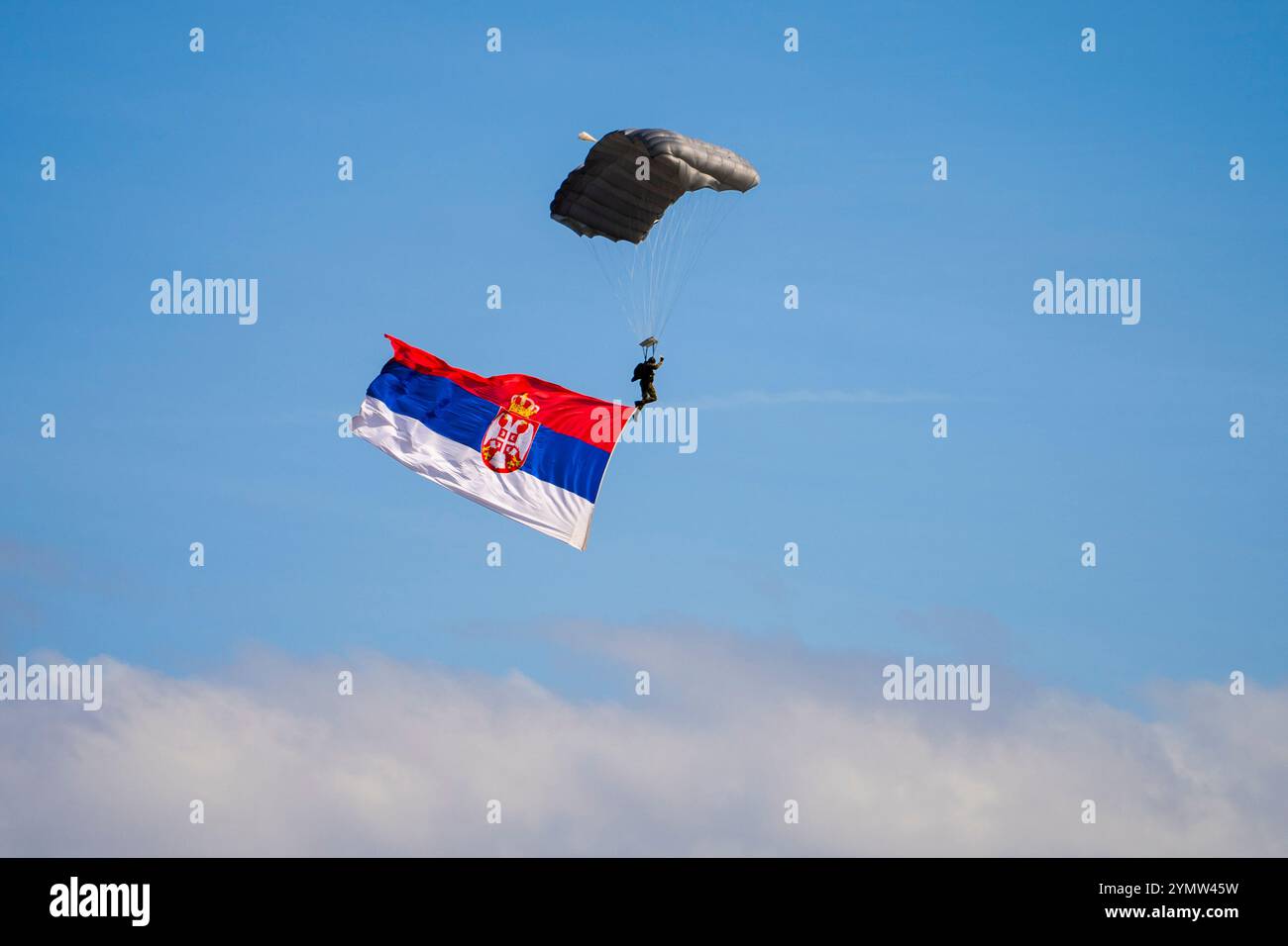 Presentation of Serbian Armed Forces. Modern Military Paratrooper with ...