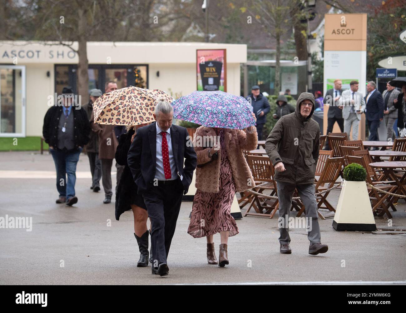 Ascot, Berkshire, UK. 23rd November, 2024. Racegoers were struggling to ...