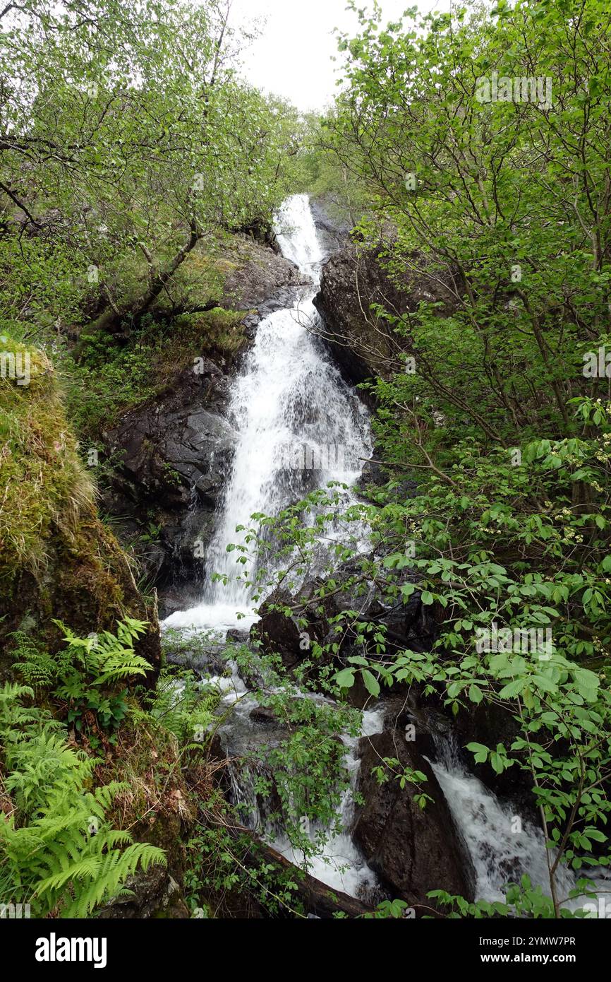 Waterfall on Dove Beck in Dovedale from the Path to the Wainwrights ...