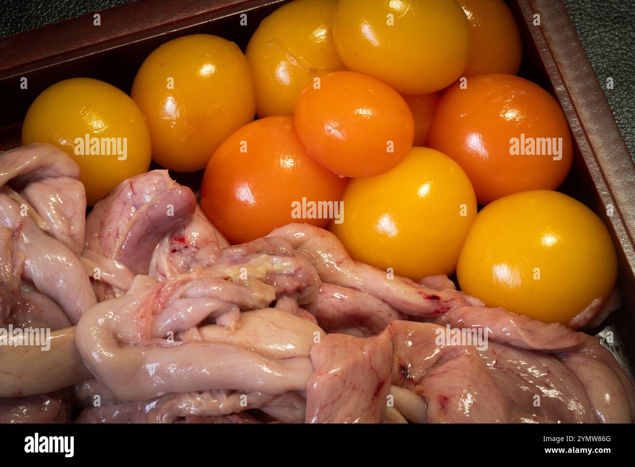 Fresh unlaid chicken eggs with chicken intestines and organs Stock ...