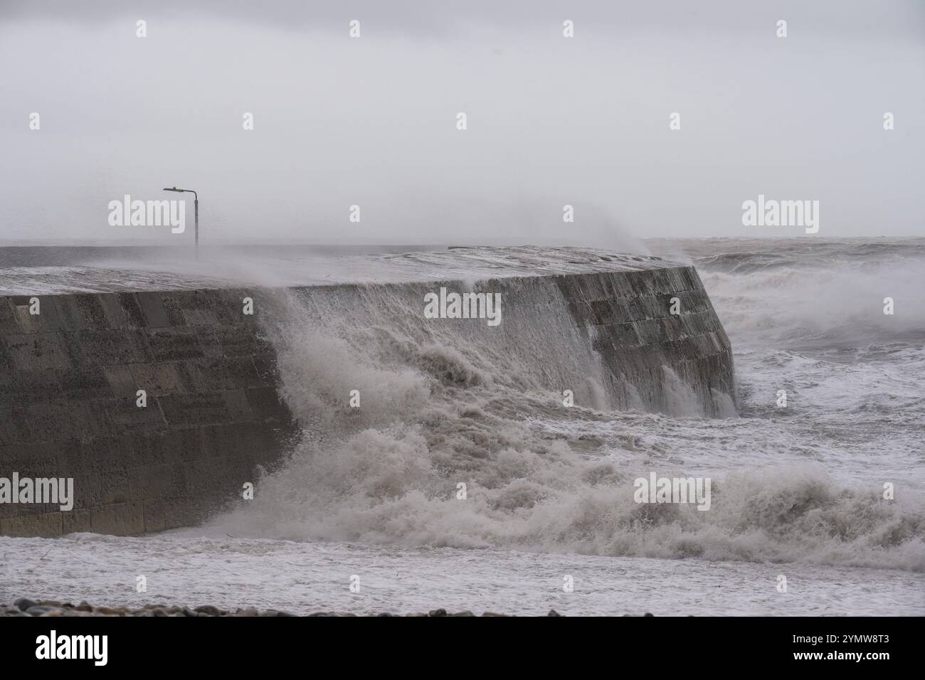 Bert the alert hi-res stock photography and images - Alamy