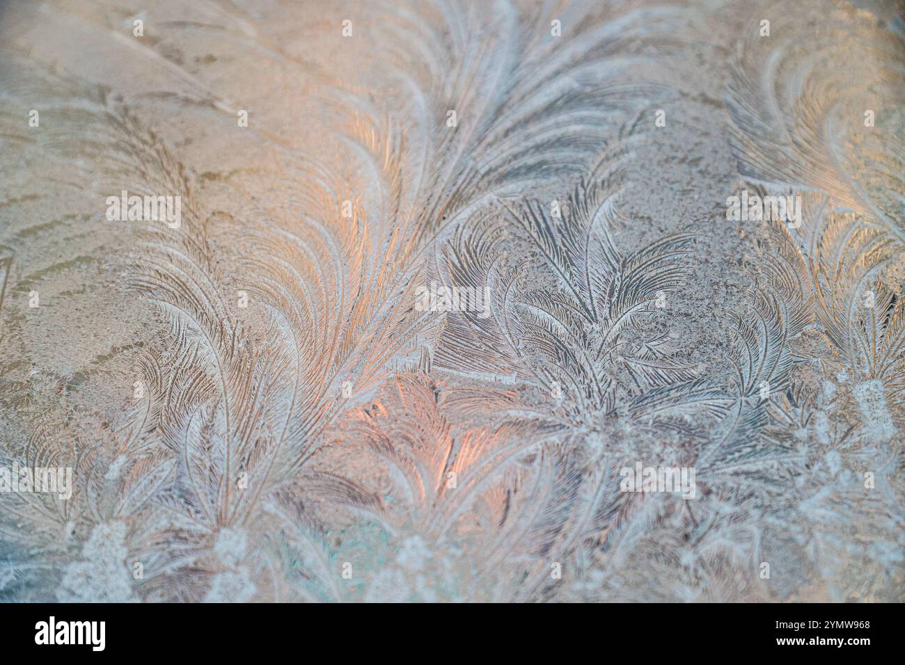 Frost patterns on glass Stock Photo - Alamy