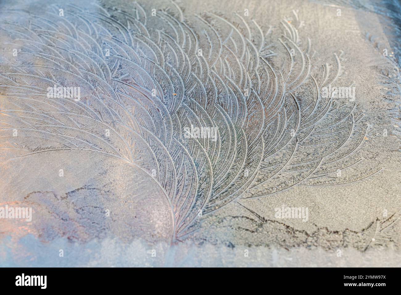 Frozen glass frost patterns hi-res stock photography and images - Alamy