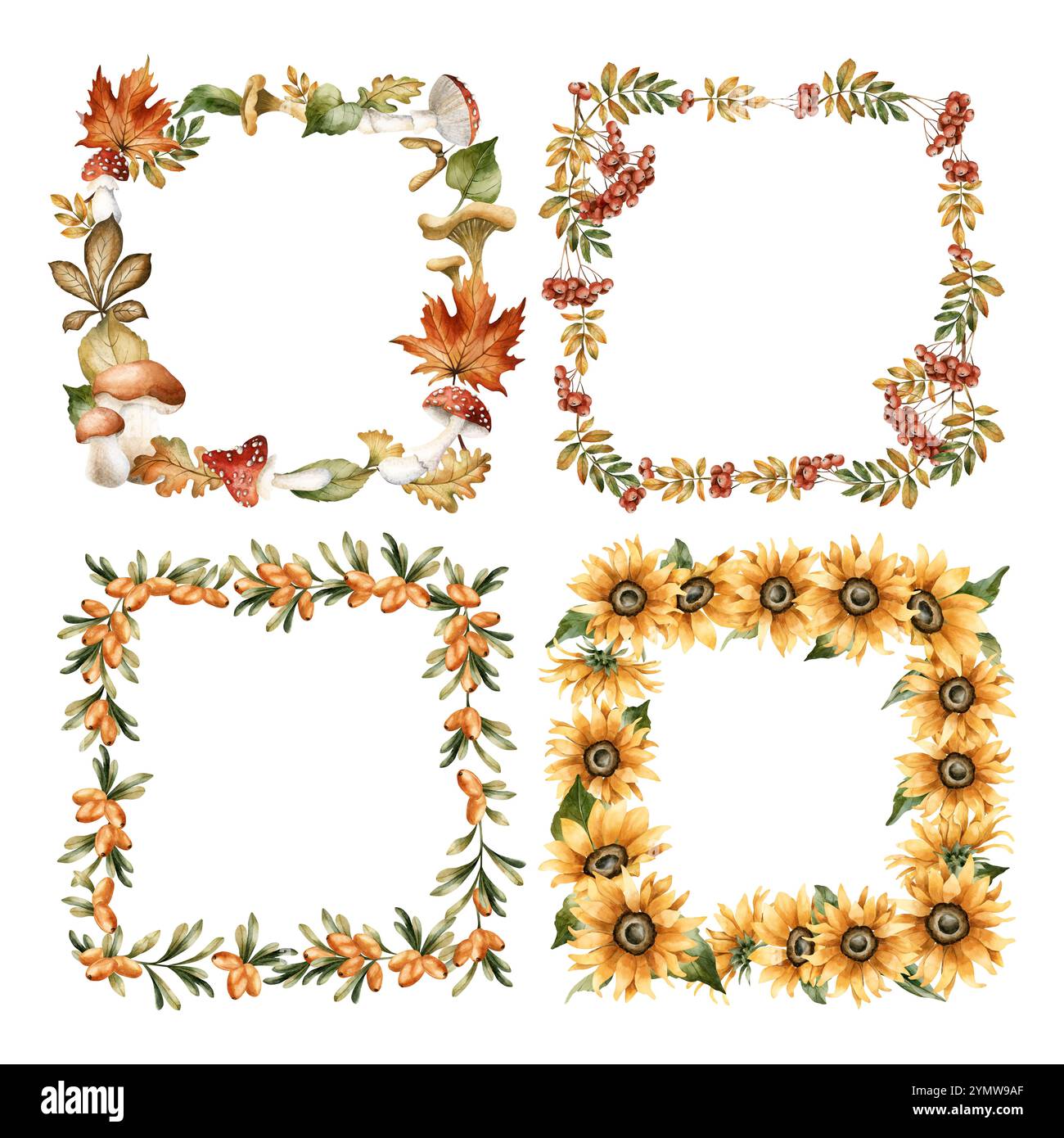 Autumn frames with leaves, mushrooms, flowers, insect and animal ...