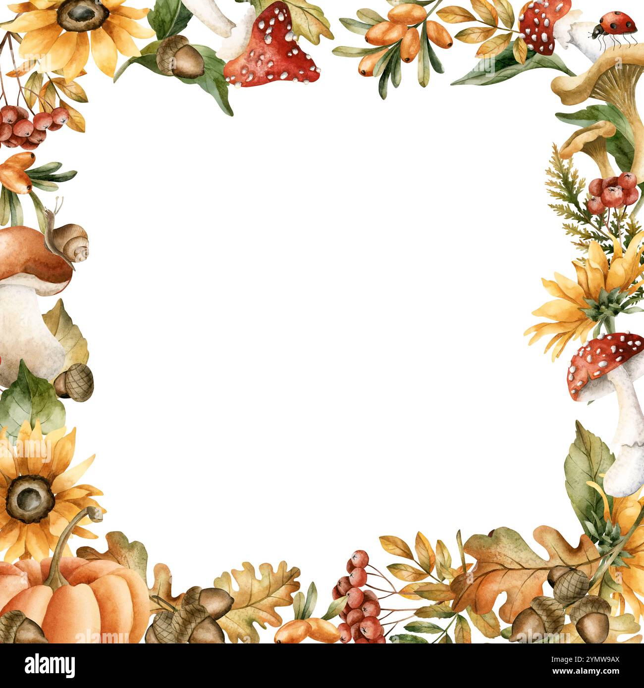 Autumn frame with fall leaves, mushrooms, flowers, insect and animal ...