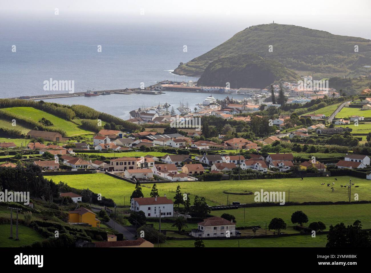 Known as the Sea-City, Horta, Faial Island, Azores, has a great ...