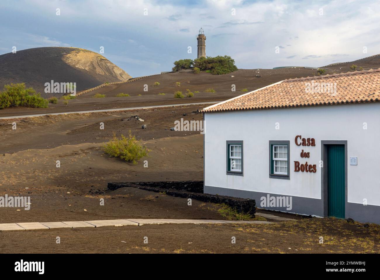 Between 1957 and 1958 a volcanic eruption caused the destruction of the ...