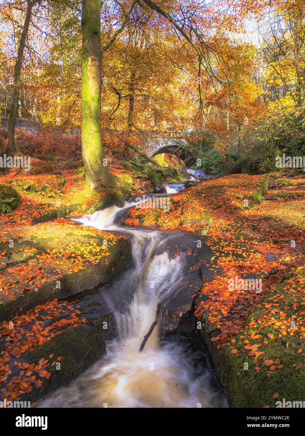 Wicklow colours hi-res stock photography and images - Alamy