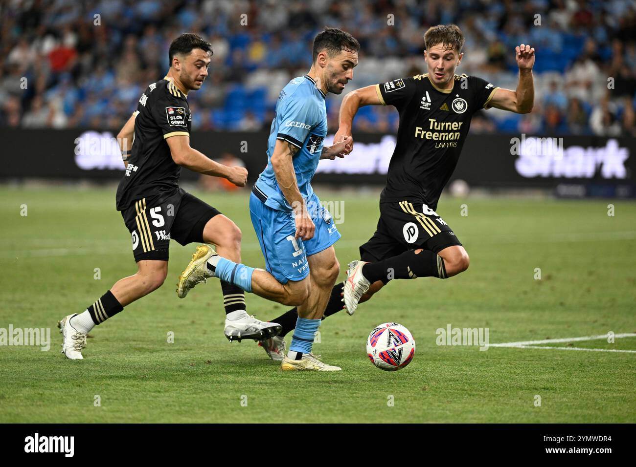 23rd November 2024; Allianz Stadium, Sydney, NSW, Australia: A-League ...