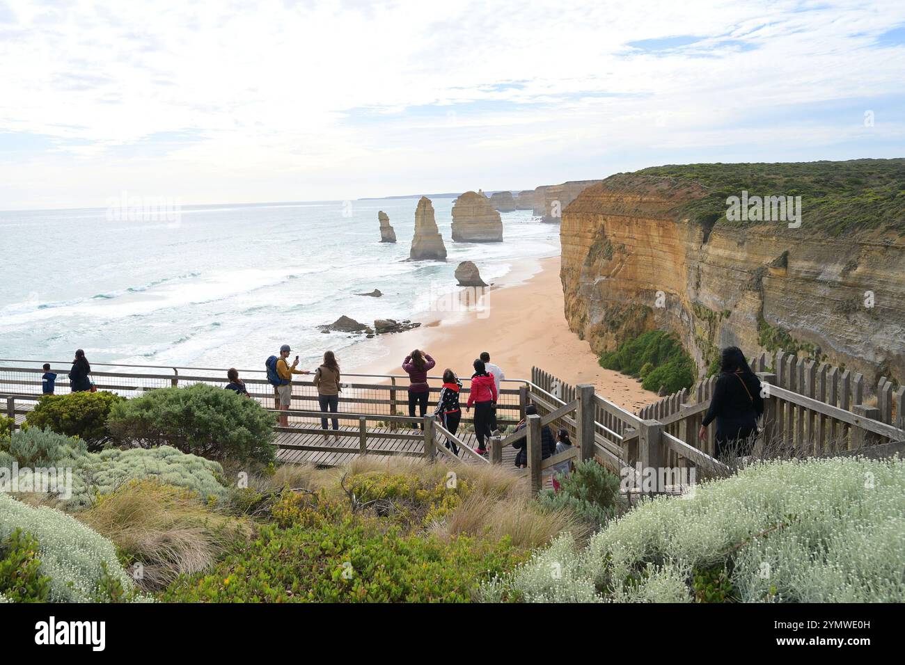 Melbourne, Australia. 21st Nov, 2024. An attractive stunning view of ...