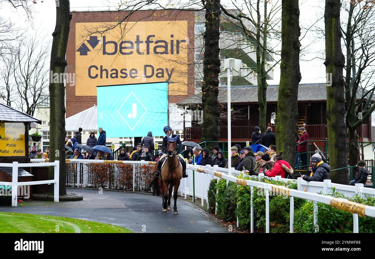 The Retraining of Racehorses Parade at Haydock Park Racecourse, Newton ...