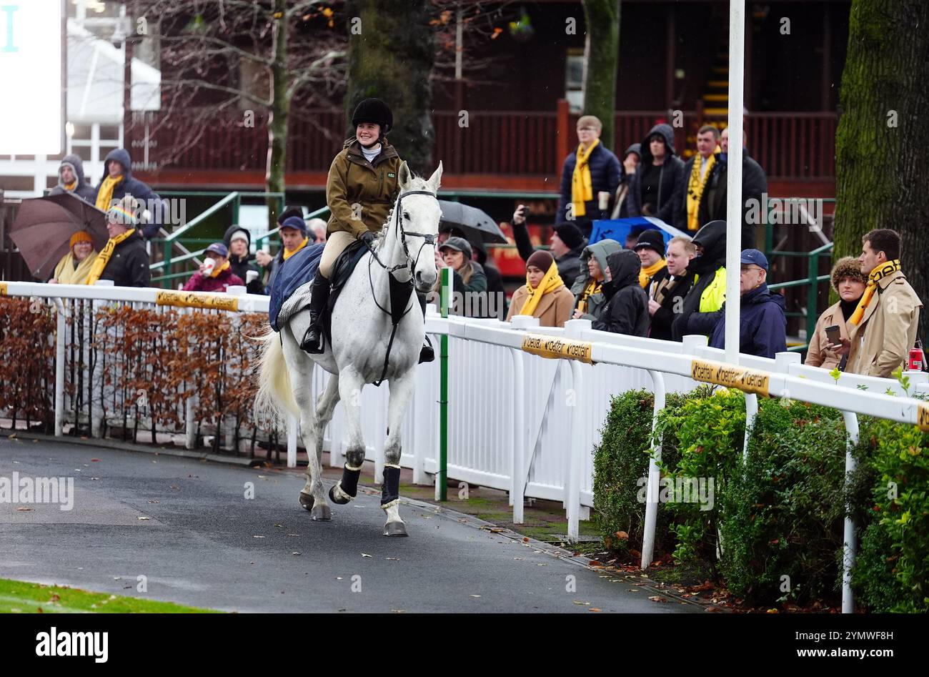 The Retraining of Racehorses Parade at Haydock Park Racecourse, Newton ...