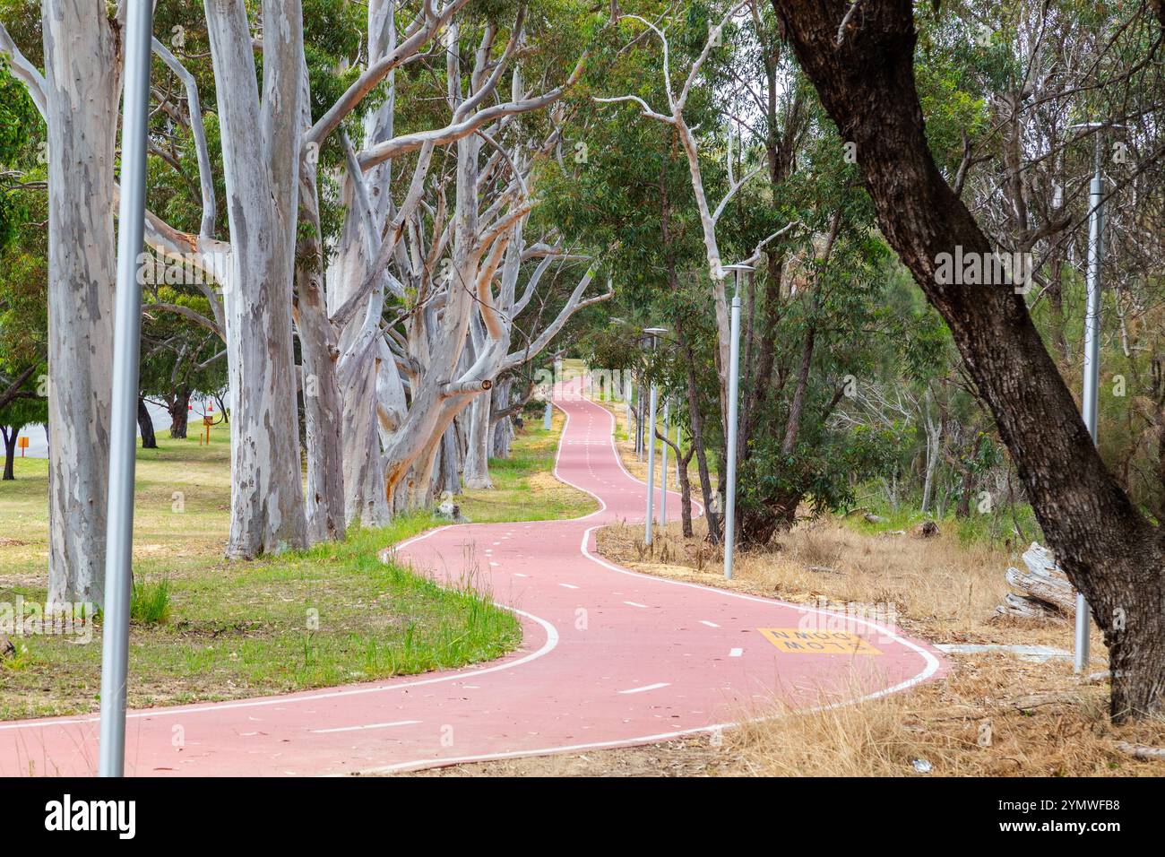Cycle and pedestrian paths in Kings Park, Perth, Western Australia ...