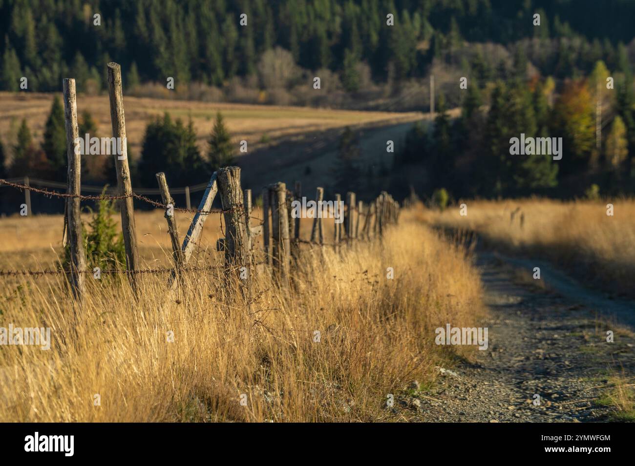 Barbed wire fence with wooden pillar around a meadow on the hill of ...
