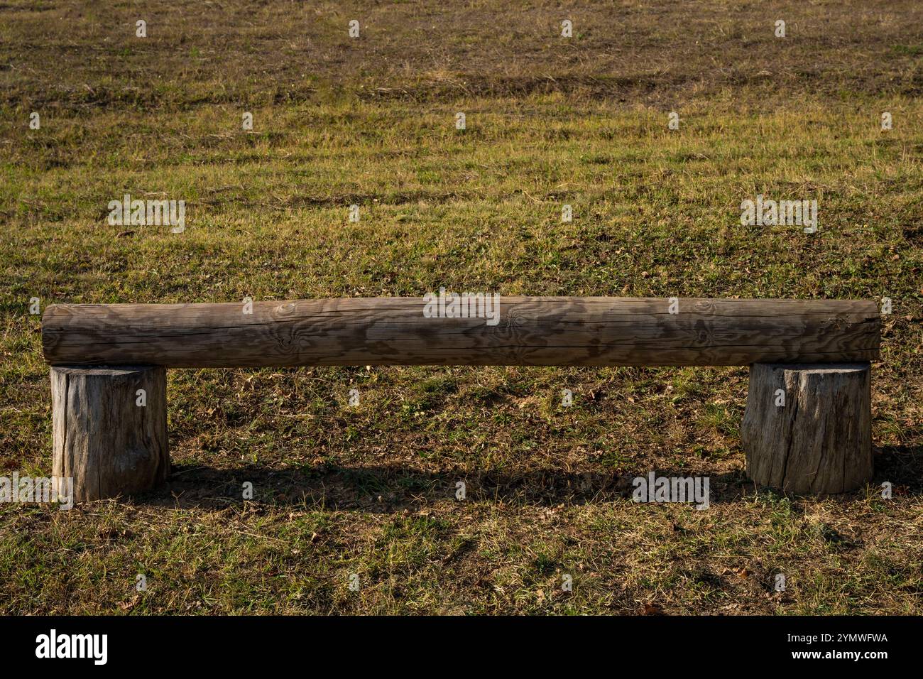 Golden meadow texture on hi-res stock photography and images - Alamy