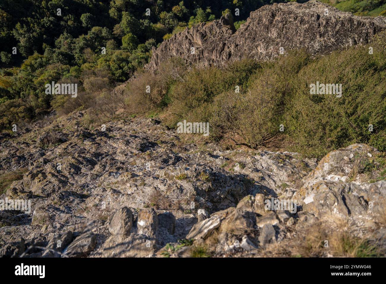 Top view panorama forest horizon hi-res stock photography and images ...