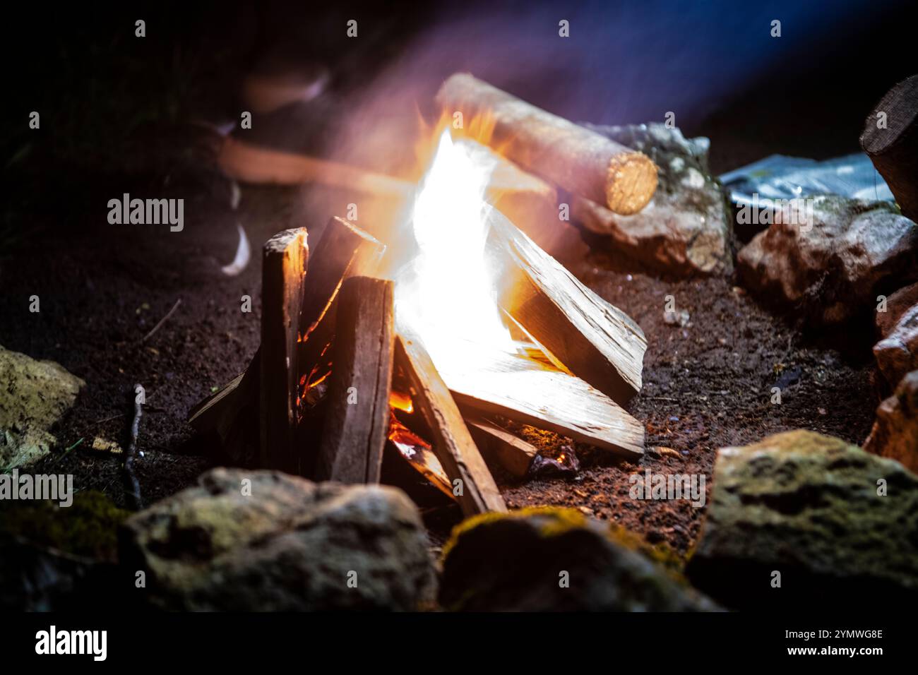 Camp fire in the woods Stock Photo - Alamy