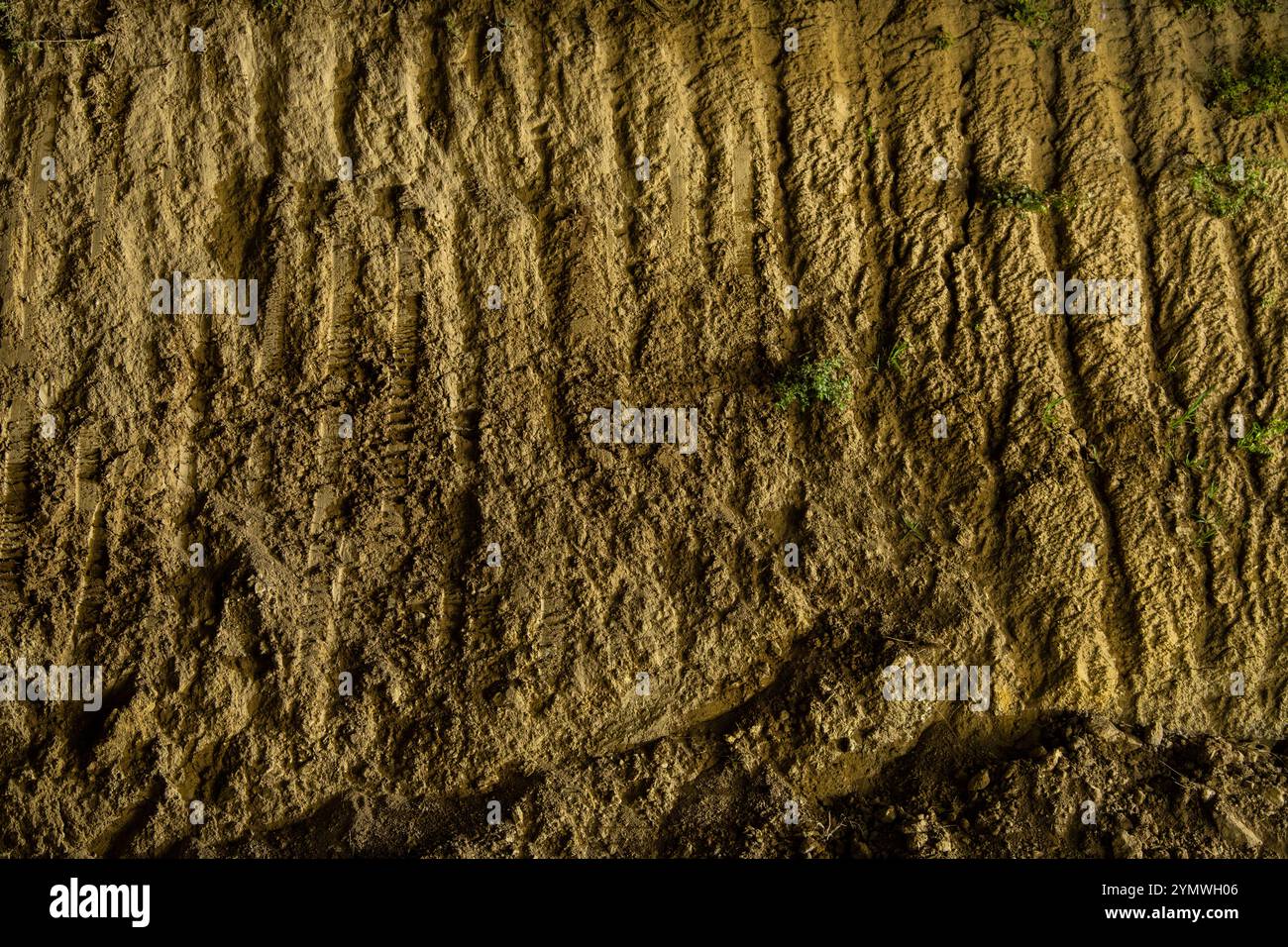 Patterns in dirt on the ground Stock Photo - Alamy