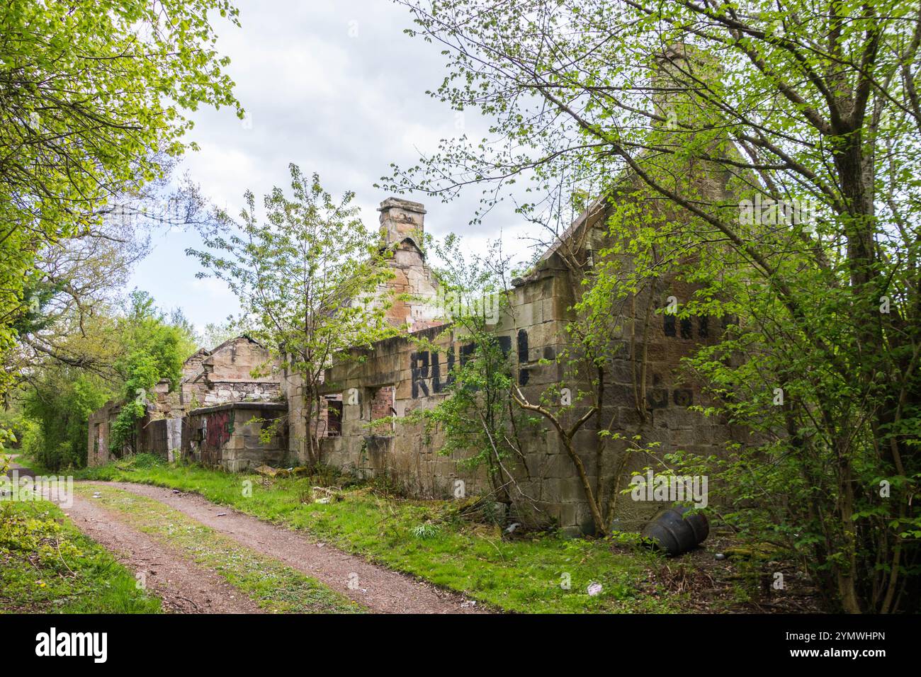 Old abandoned farm house taken over by nature Stock Photo - Alamy