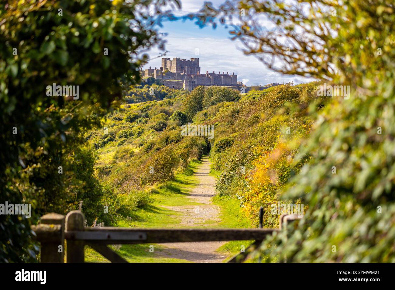 Dover Castle from the White Cliffs of Dover in kent Stock Photo - Alamy