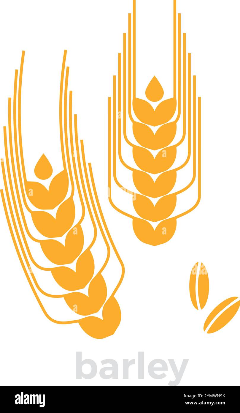Barley color icon. Gold grain crop symbol Stock Vector Image & Art - Alamy