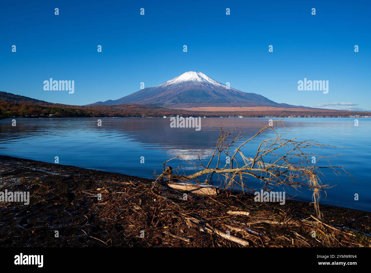 Mount Fuji is Japan’s iconic snow-capped volcano, standing majestically ...