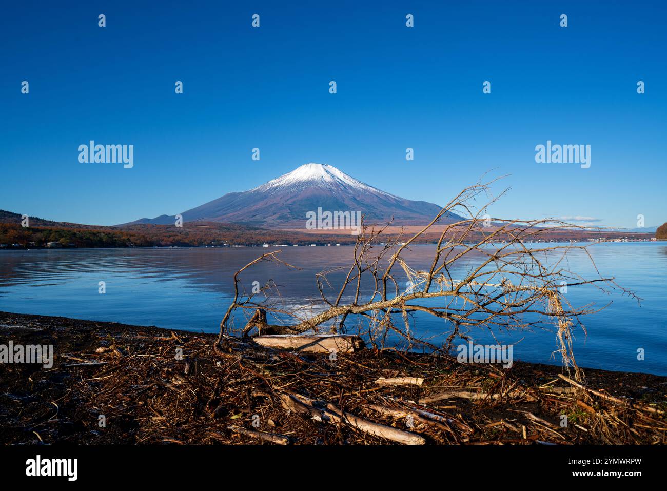 Mount Fuji is Japan’s iconic snow-capped volcano, standing majestically ...