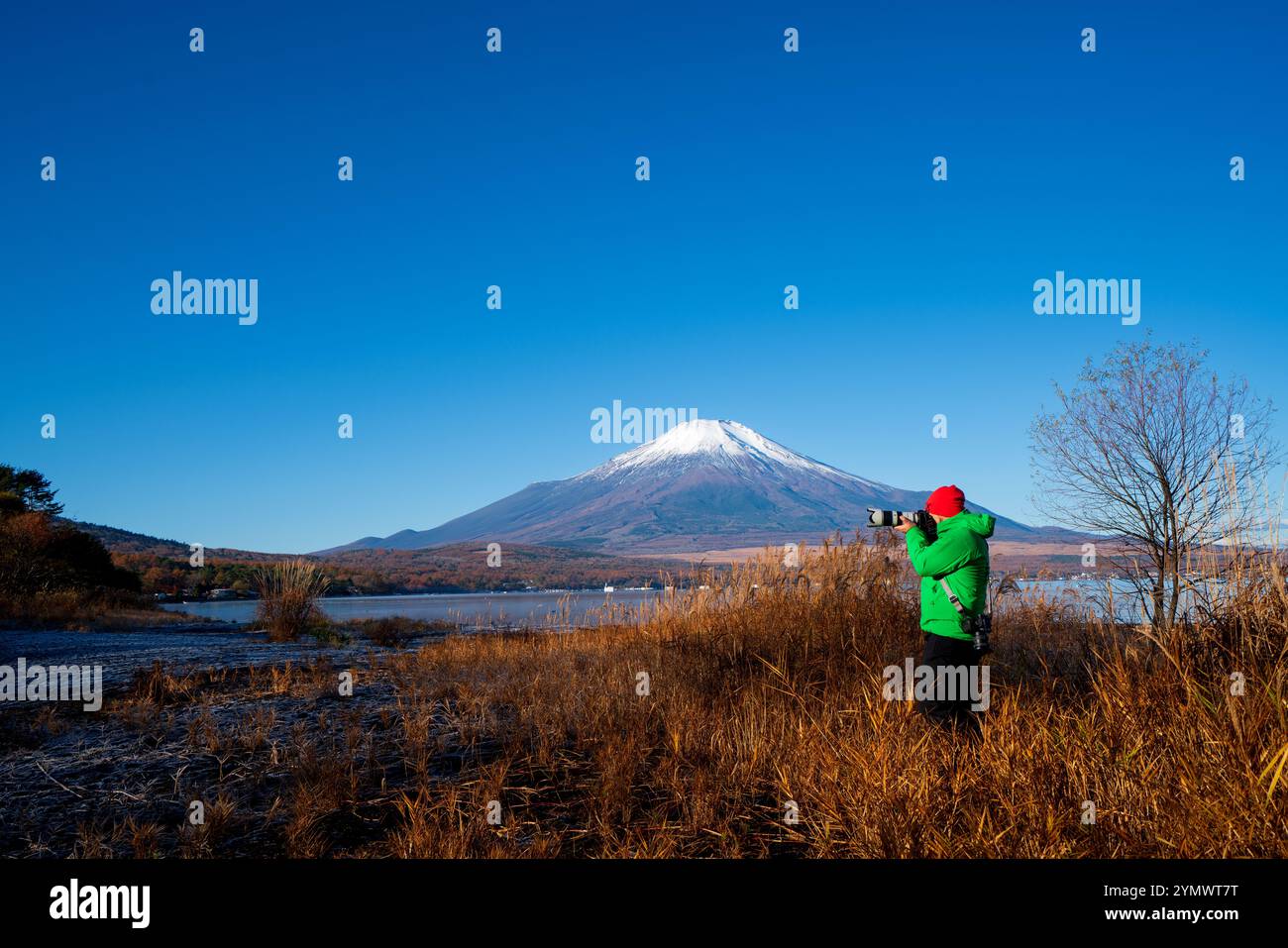 Mount Fuji is Japan’s iconic snow-capped volcano, standing majestically ...
