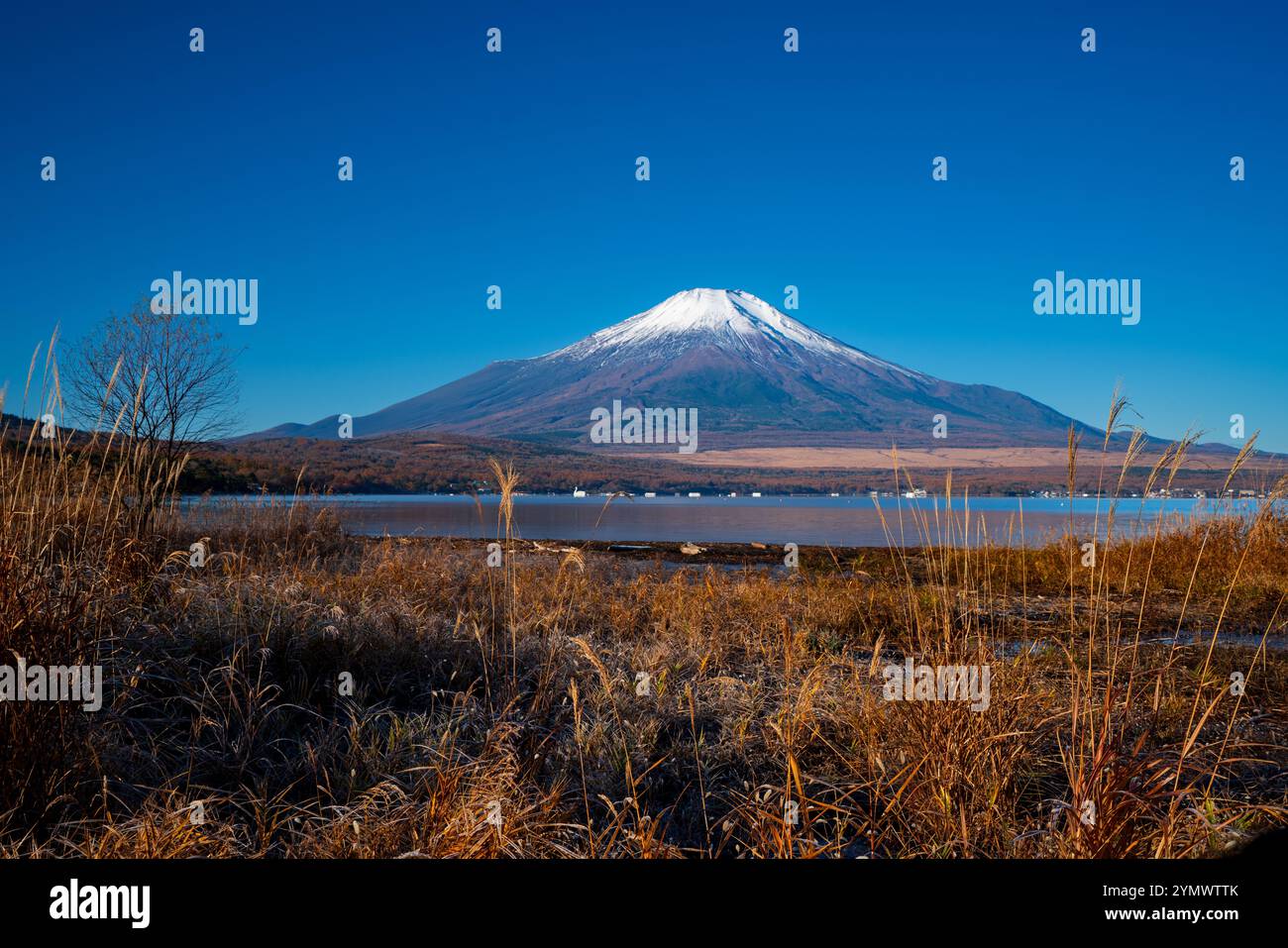 Mount Fuji is Japan’s iconic snow-capped volcano, standing majestically ...