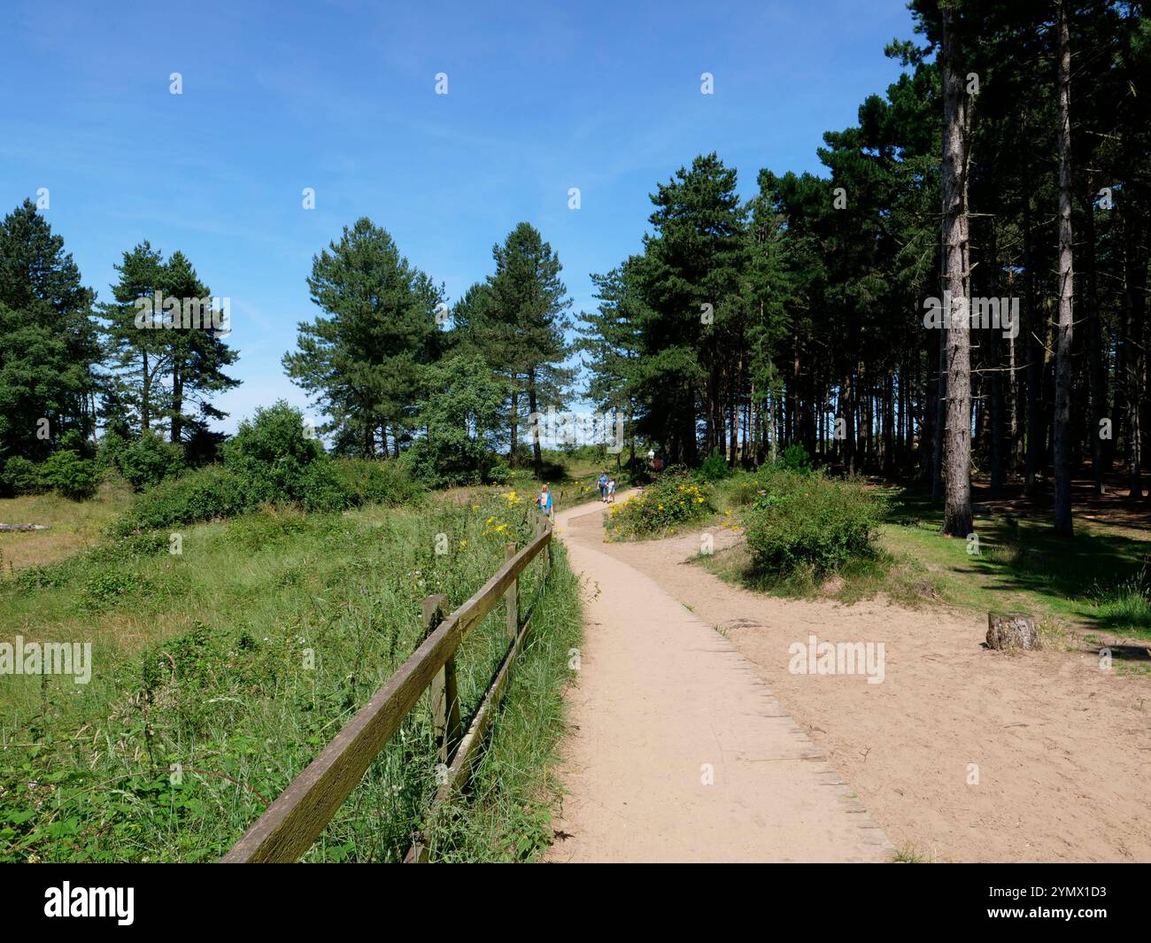 Wells Next The Sea Circular walk, Tourists and visitors at Holkham ...