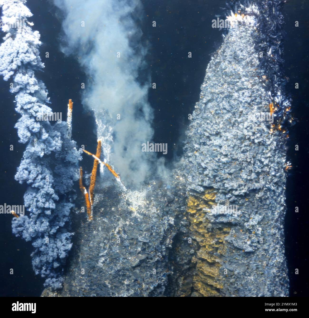 Deep sea hydrothermal vent sea hi-res stock photography and images - Alamy