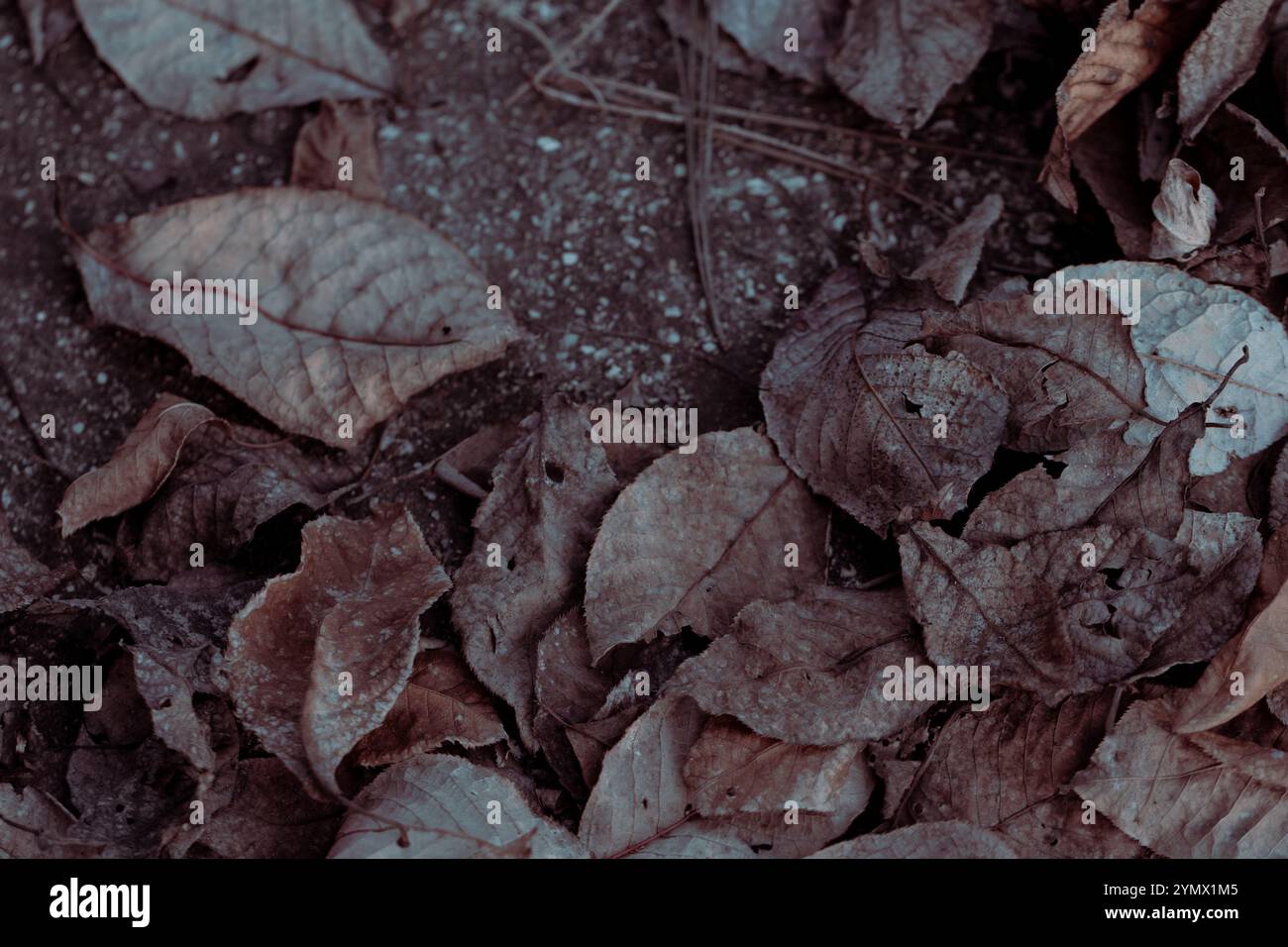 Emphasizing diverse shapes hi-res stock photography and images - Alamy