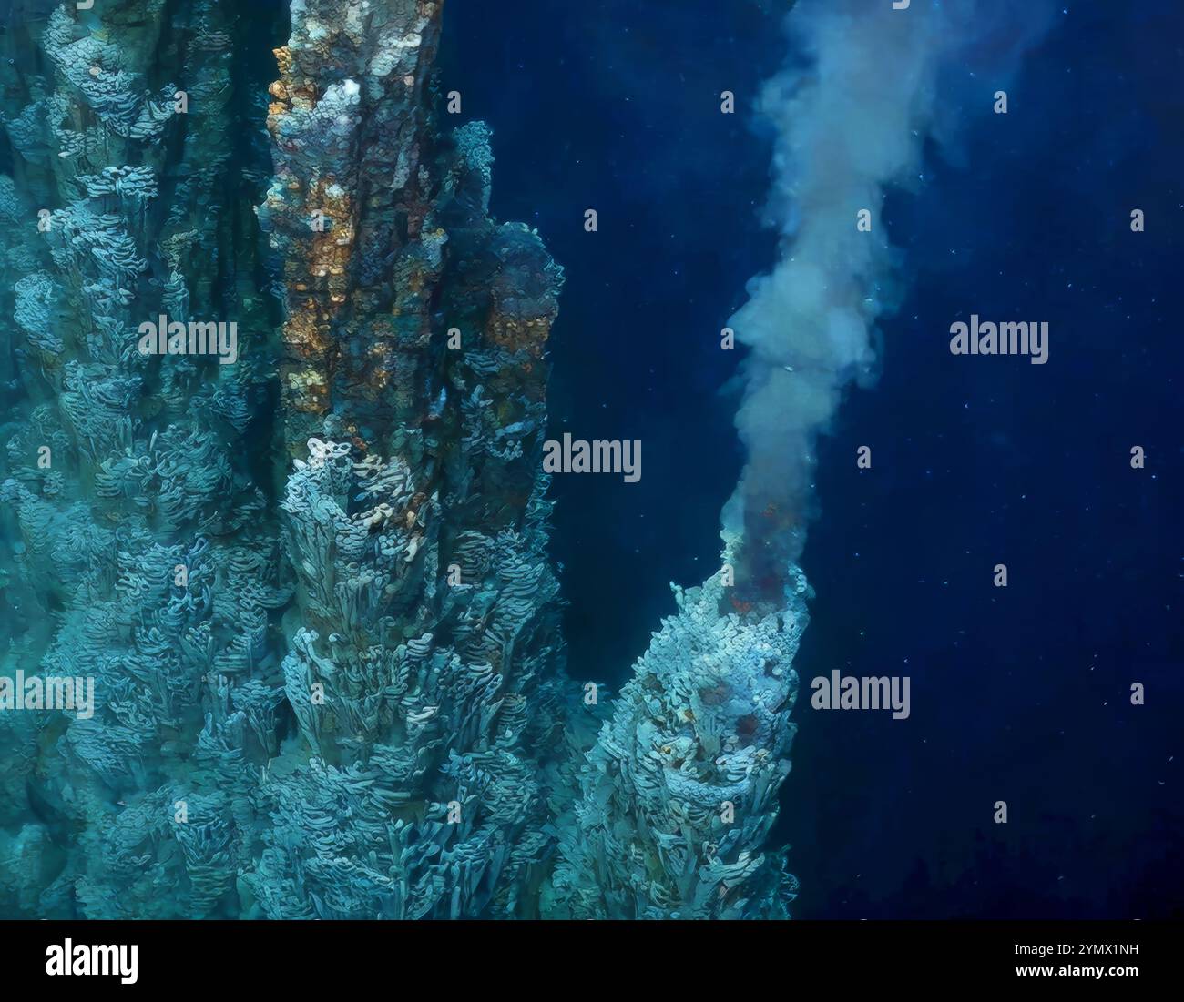 Hydrothermal vents in pacific ocean deep sea exploration 2025 ...