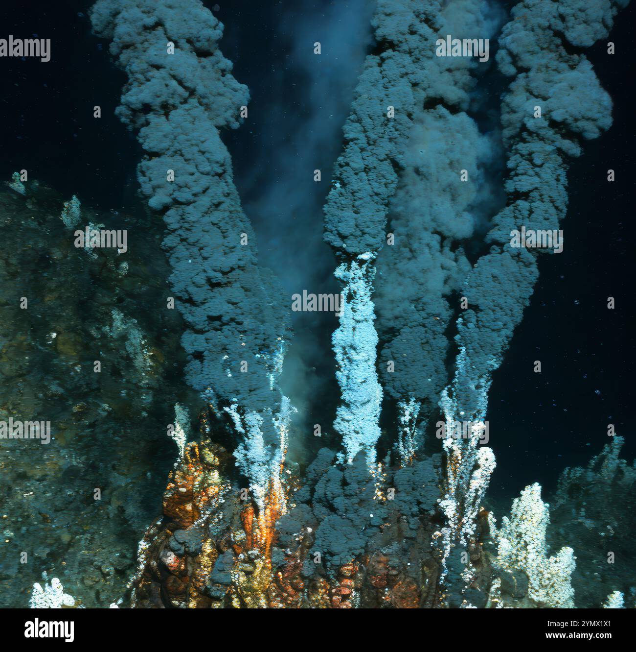 Hydrothermal vents in pacific ocean deep sea exploration 2025 ...
