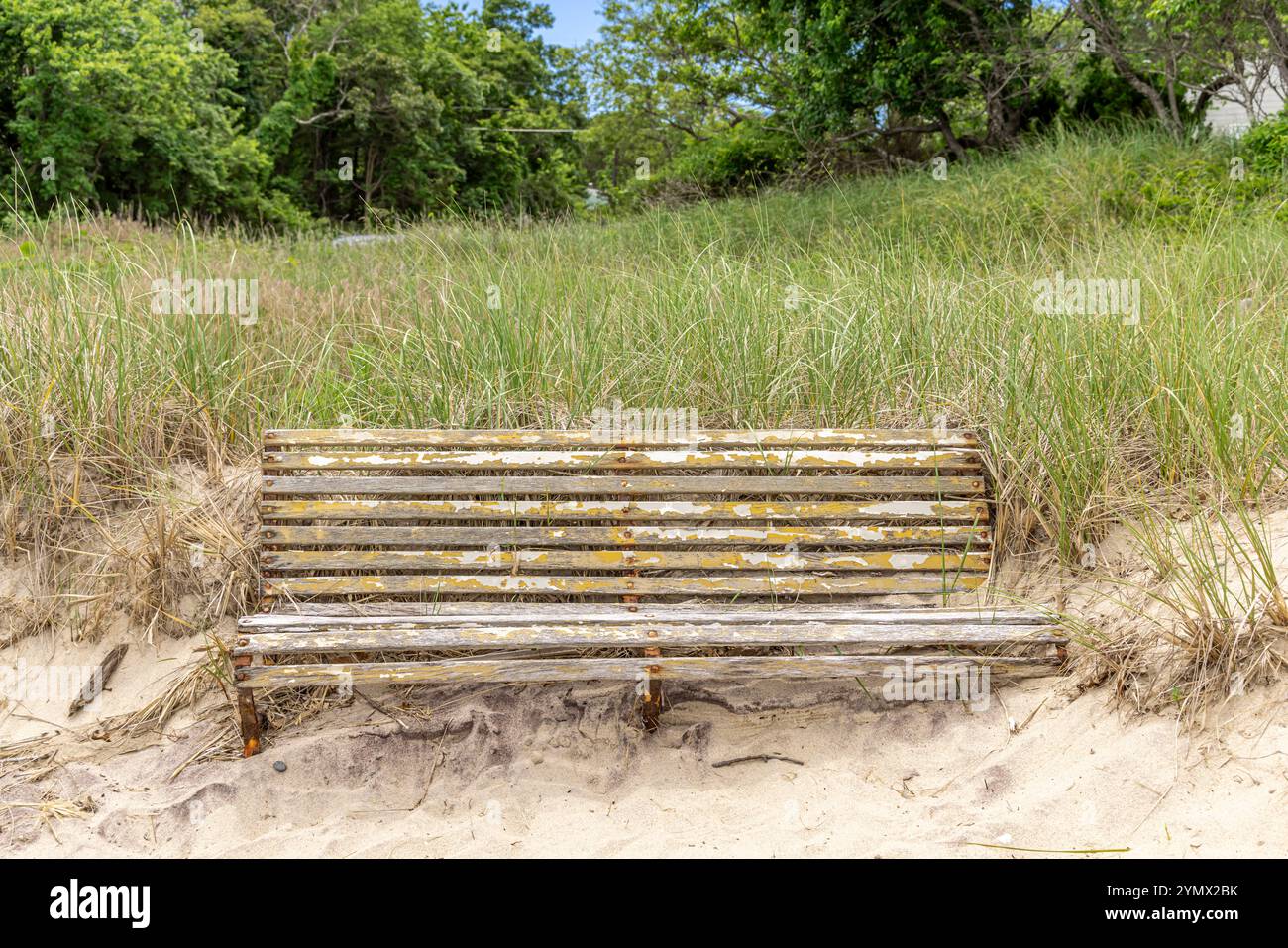 old weathered bench partially buried by sand at the beach Stock Photo ...