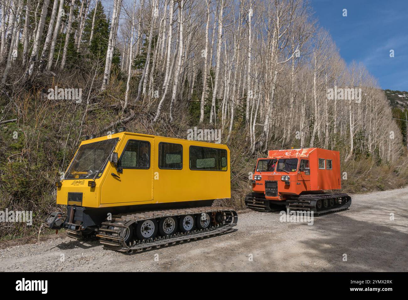 Cat vehicle hi-res stock photography and images - Alamy