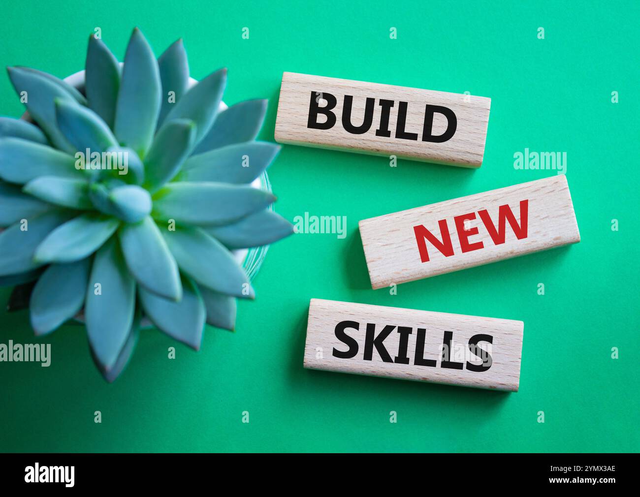 Build New skills symbol. Concept word Build New skills on wooden blocks ...