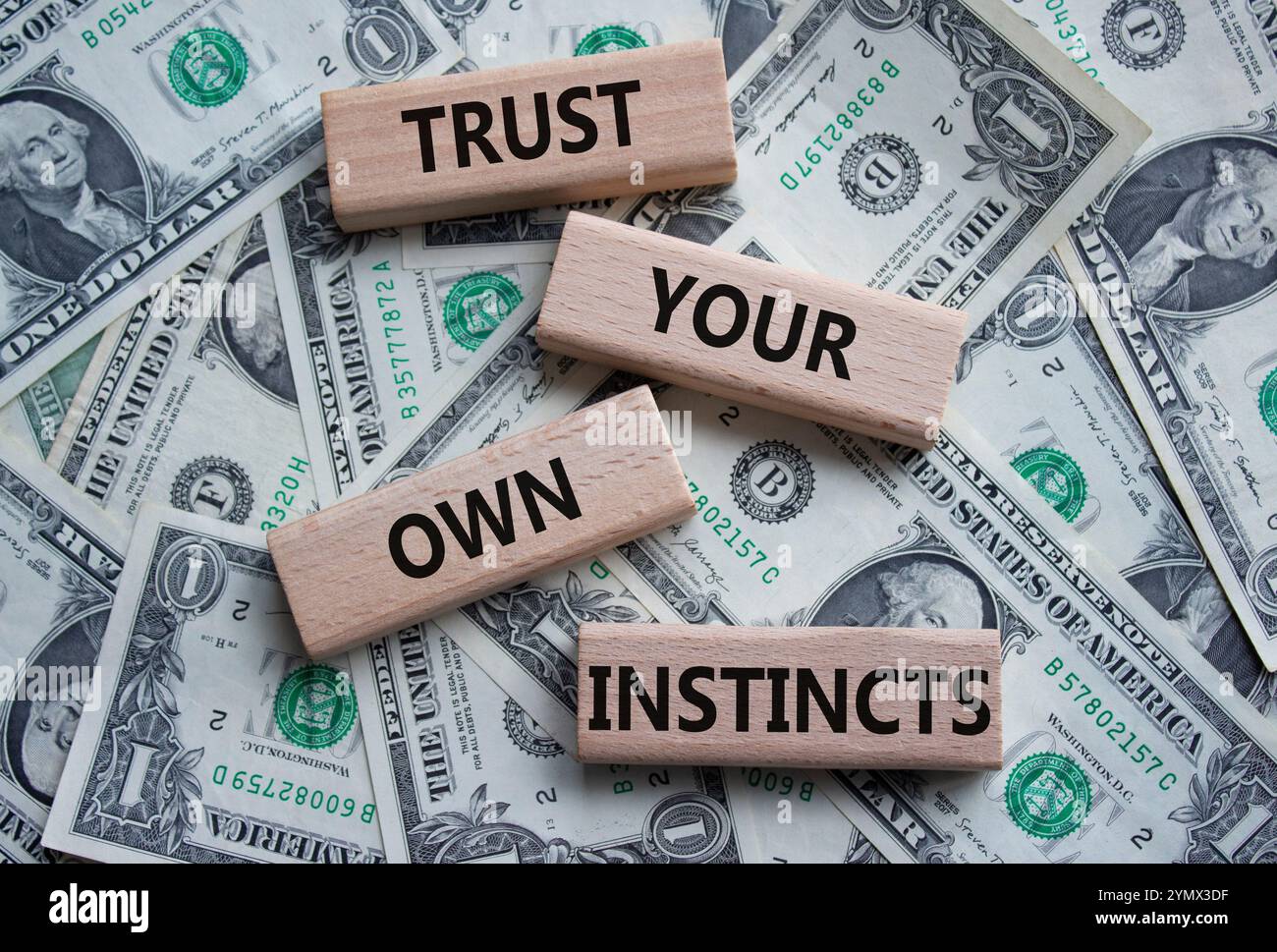 Trust your own Instincts symbol. Concept words Trust your own Instincts on wooden blocks ...