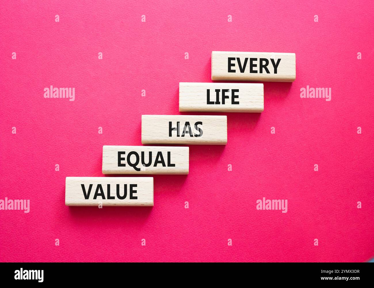 Equality symbol. Wooden blocks with words Every Life has Equal Value ...