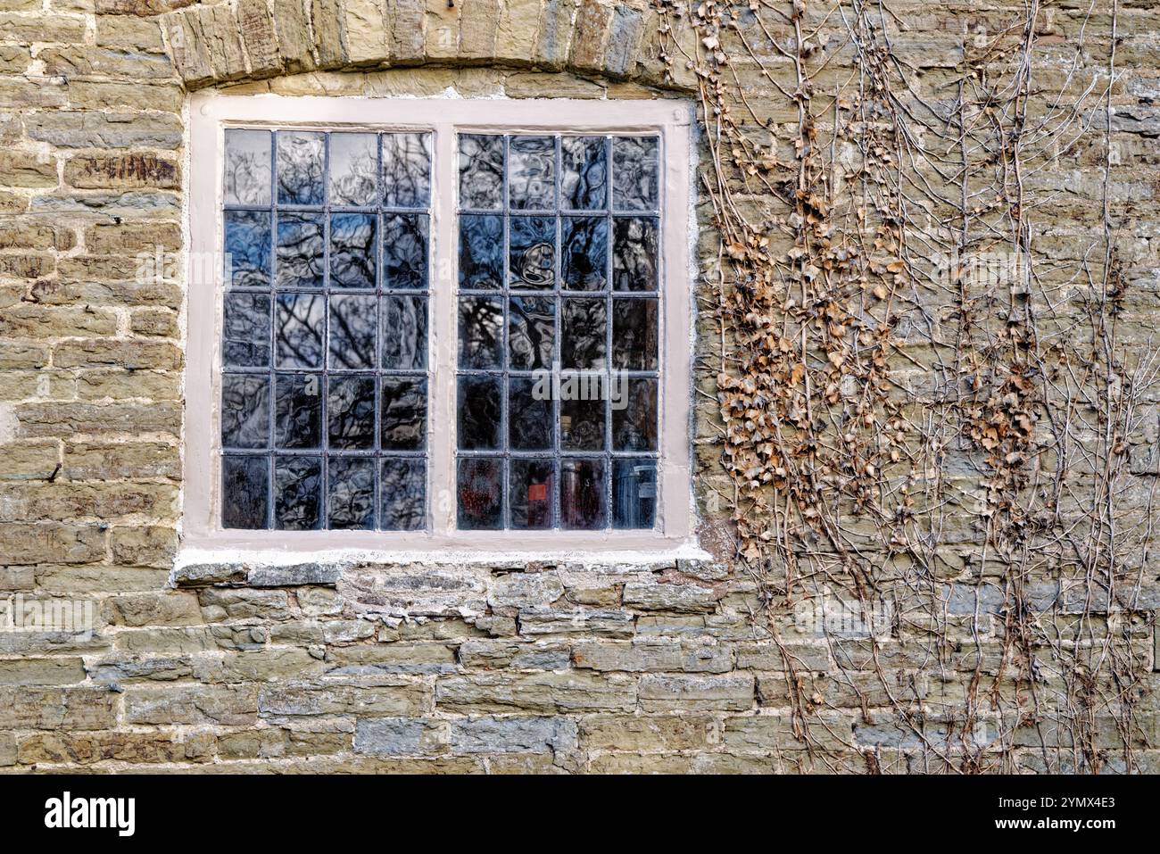 Croft Castle is a country house in the village of Croft, Herefordshire ...