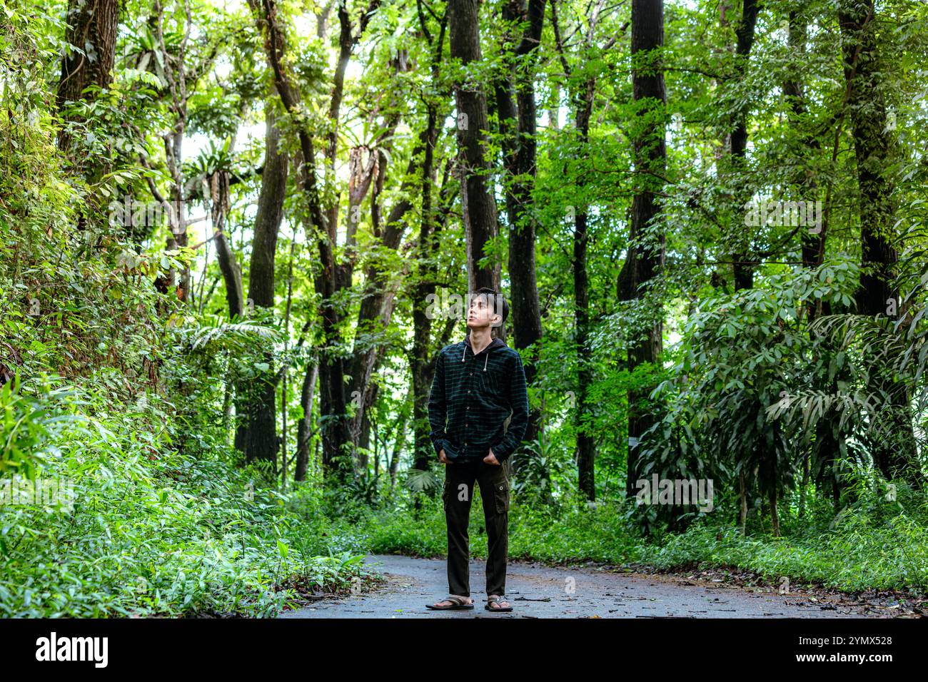 Handsome man standing alone while looking around. Beautiful dramatic ...
