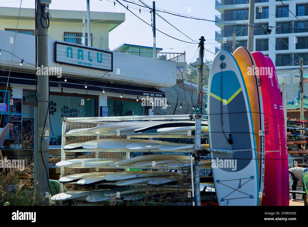 Surfboards korea hi-res stock photography and images - Alamy