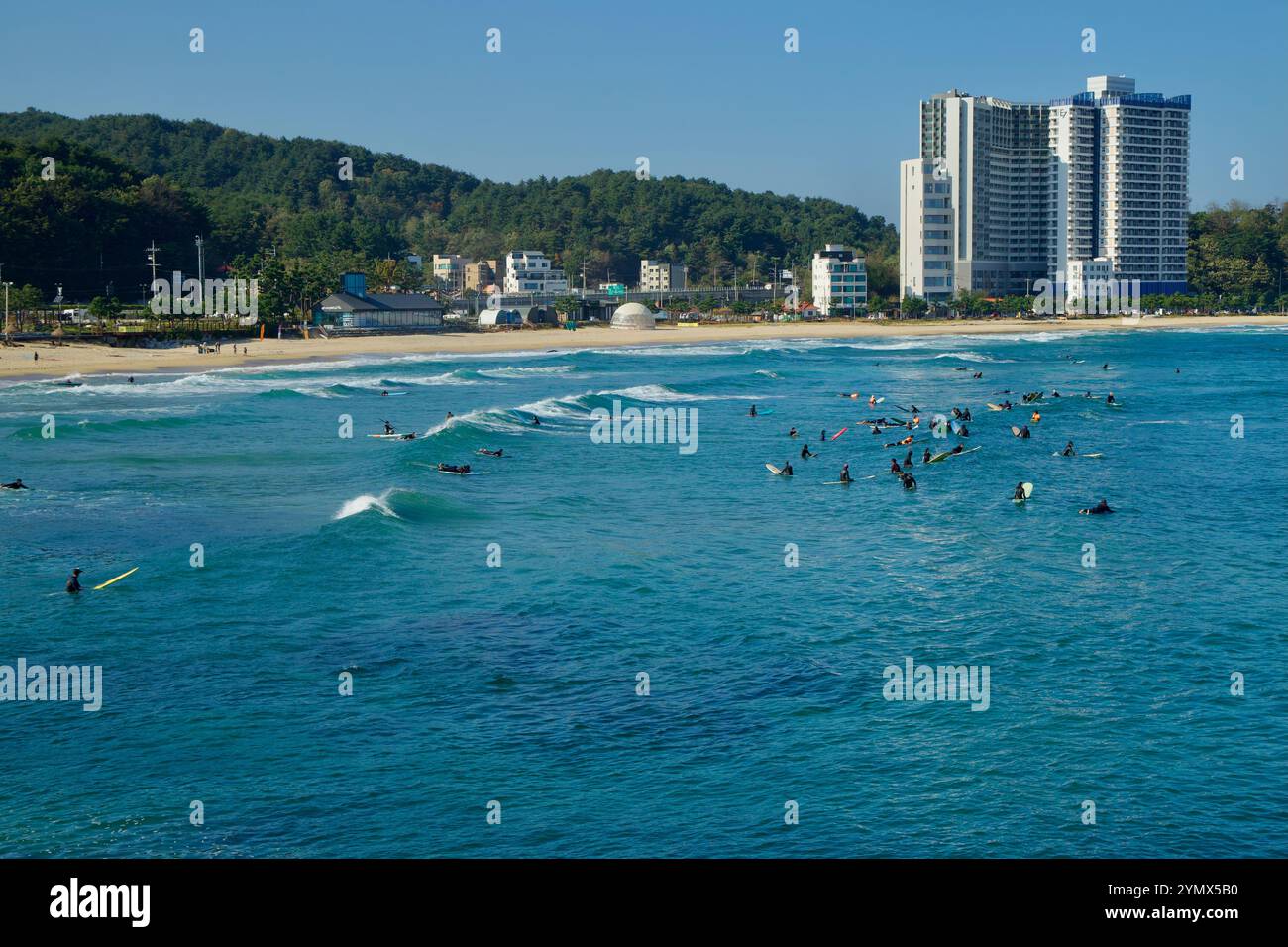 Yangyang County, South Korea - November 3rd, 2024: A large group of ...