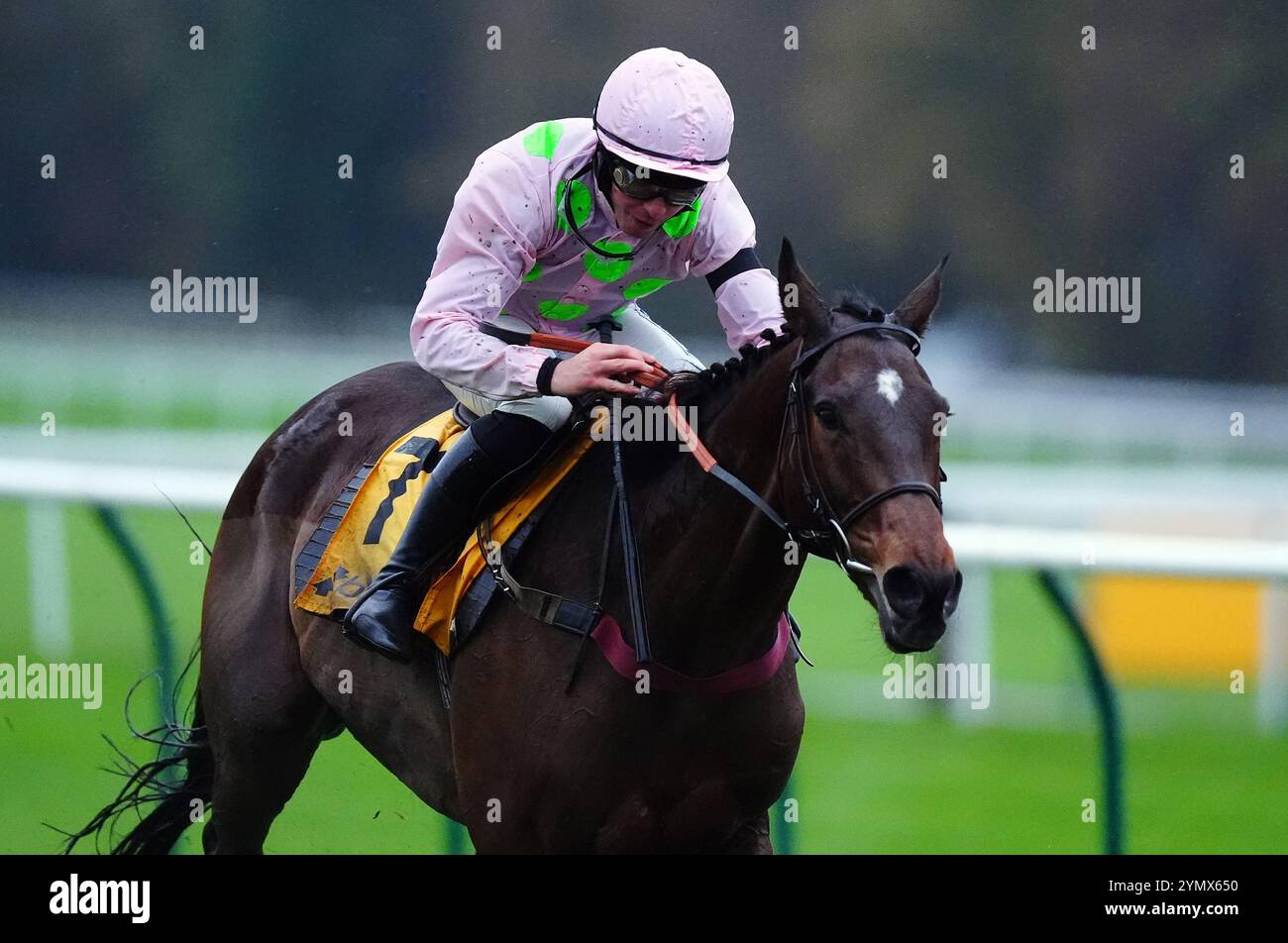 Royale Pagaille and jockey Charlie Deutsch win the Betfair Chase at ...