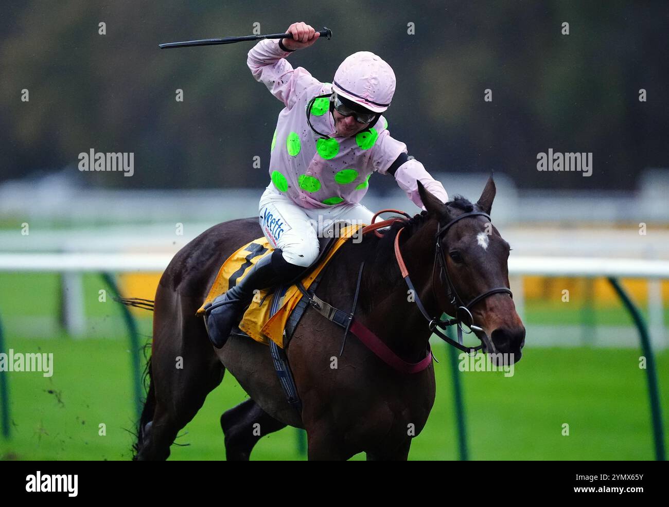 Royale Pagaille and jockey Charlie Deutsch win the Betfair Chase at ...