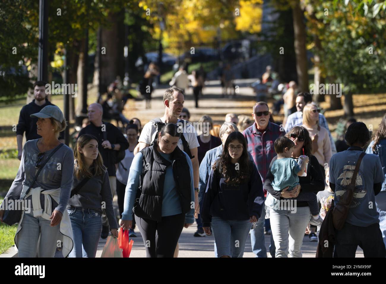 Boston Common, Public Garden, city park in the Autumn, fall foliage ...