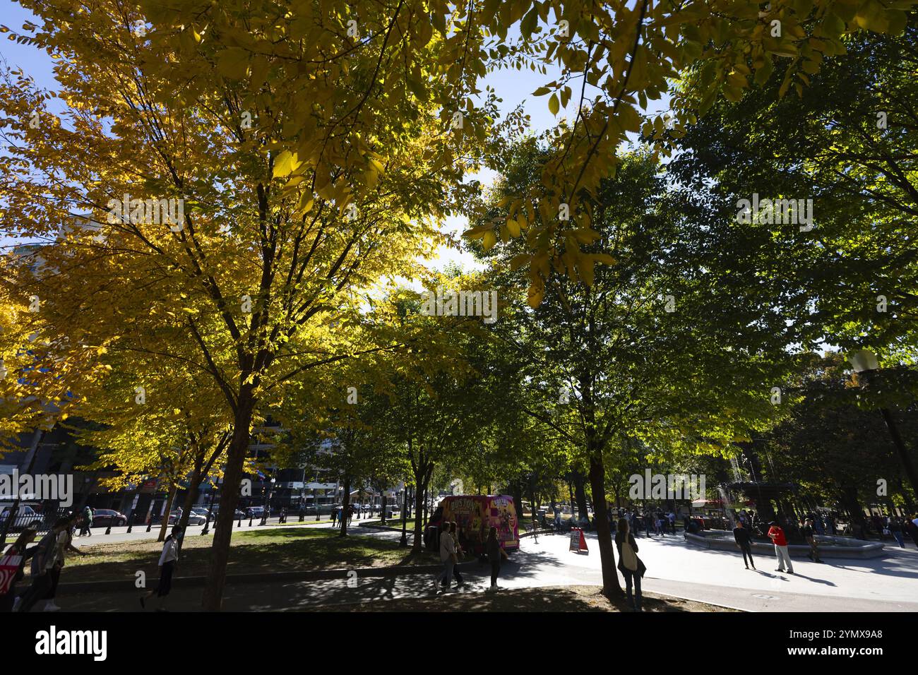 Boston Common, Public Garden, city park in the Autumn, fall foliage ...